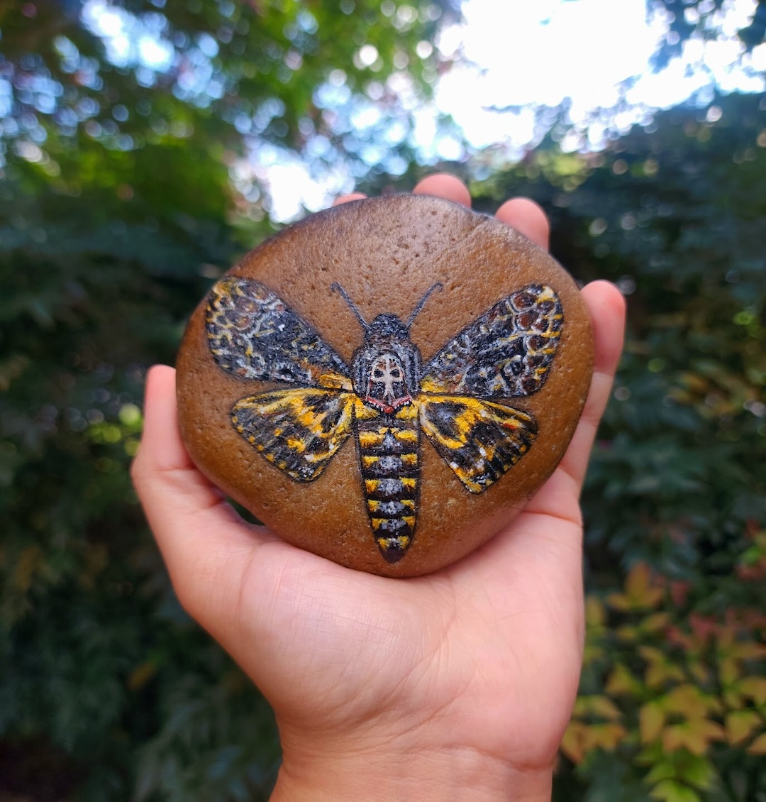 Death's-head Moth Rock Painting - Etsy