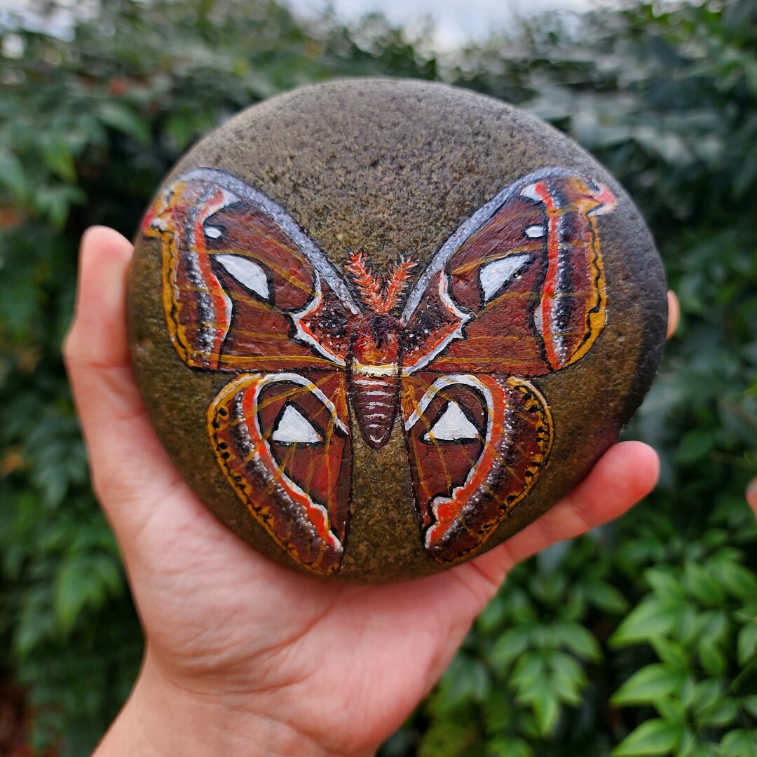 Atlas Moth Rock Painting - Etsy