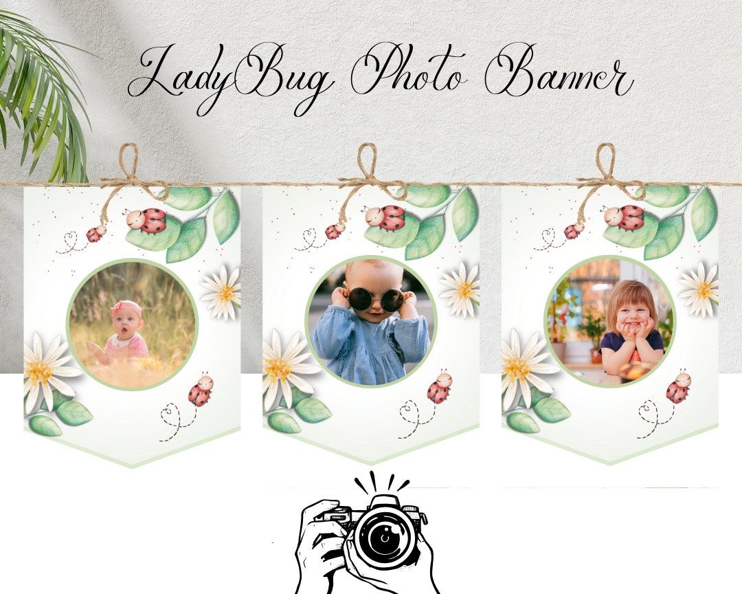 Ladybug Photo Banner, Little Lady Party Decor, Personalized Lady Bug ...