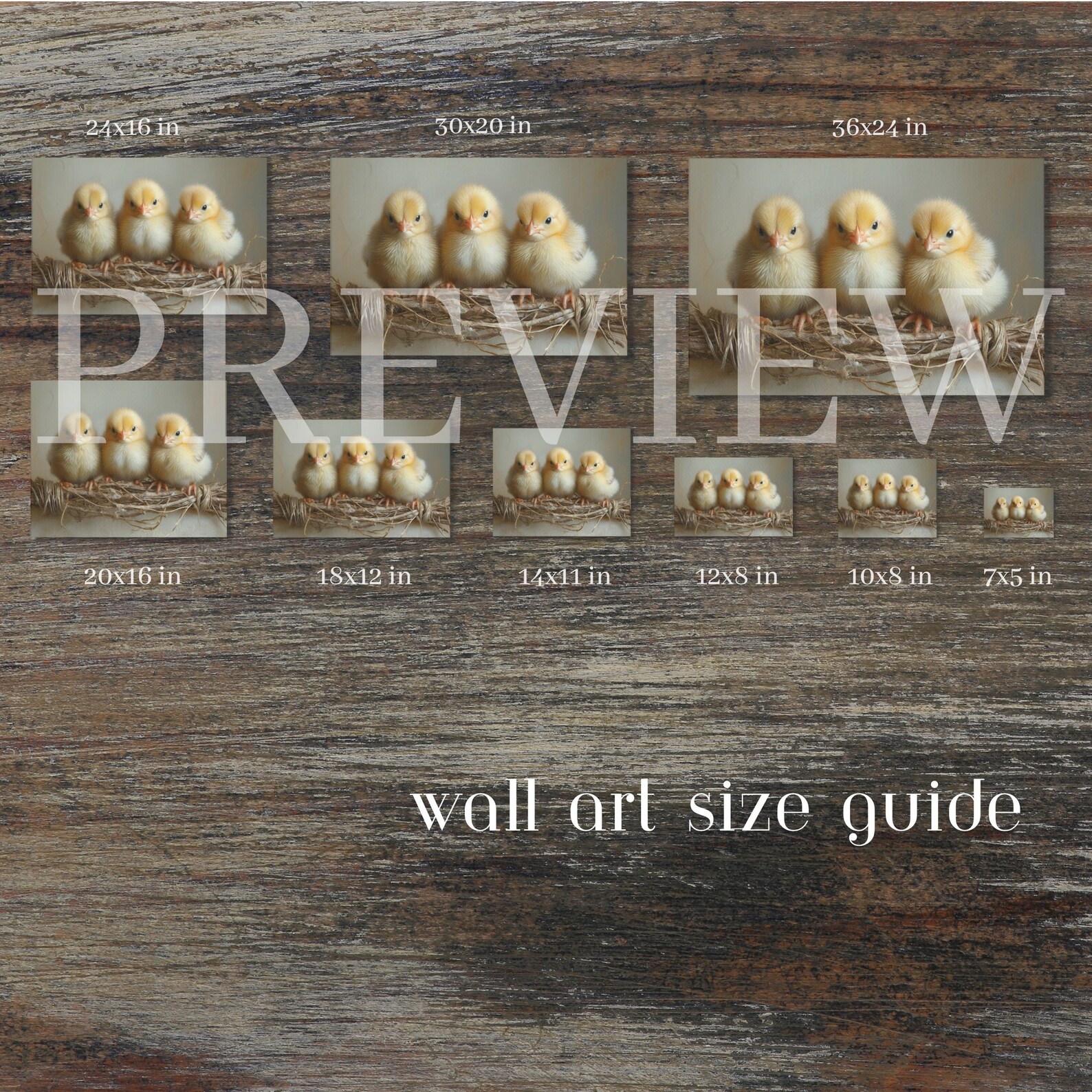 One Editable Wall Art Size Guide Template Art Size Guide Horizontal ...