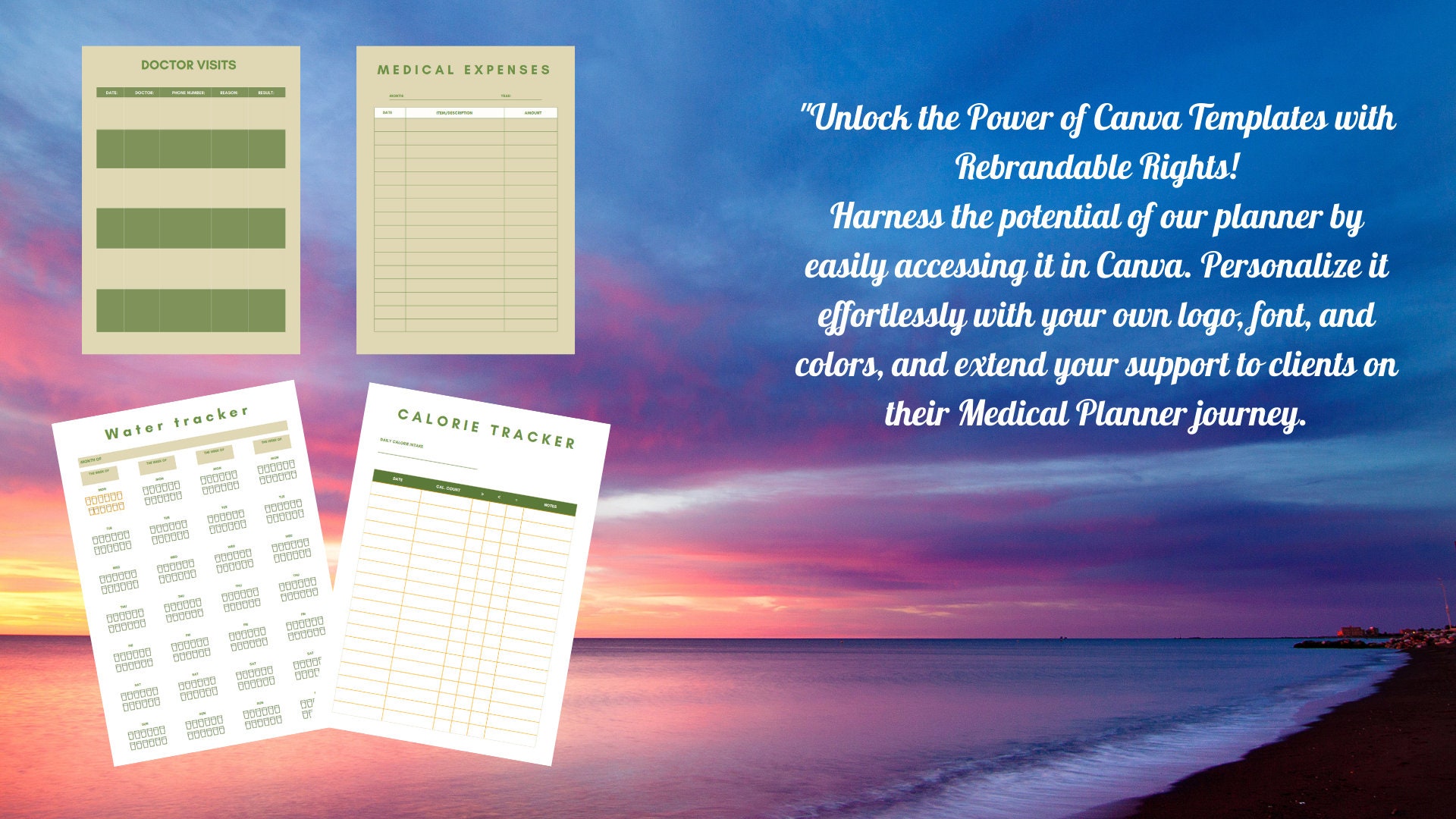 Medical Planner Editable Canva Template Health and Wellness Template ...