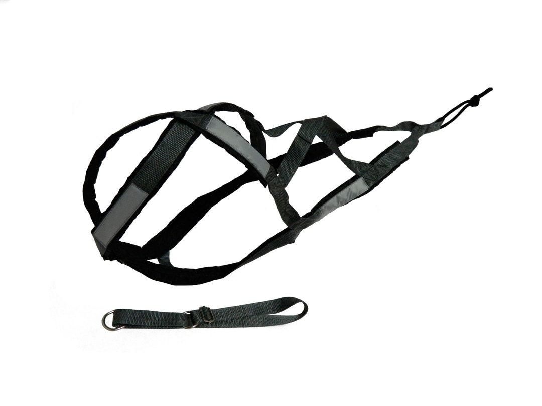 High-performance X-back Sled Dog Harness for Canicross, Bikejoring, and ...
