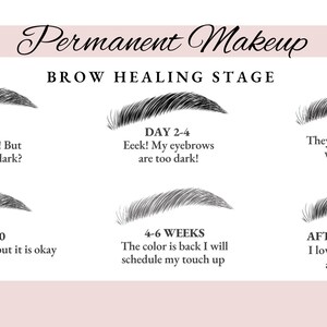 Permanent Makeup Training Guide (includes Print Out Practice Guides) - Etsy
