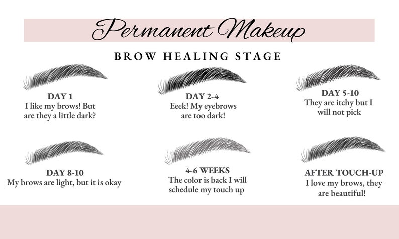 Permanent Makeup Training Guide (includes Print Out Practice Guides) - Etsy