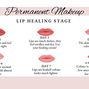 Permanent Makeup Training Guide (includes Print Out Practice Guides) - Etsy