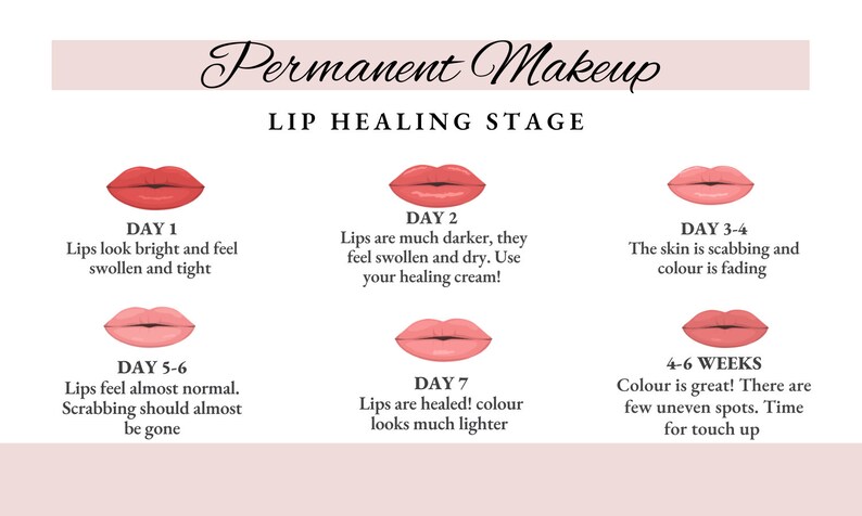 Permanent Makeup Training Guide (includes Print Out Practice Guides) - Etsy