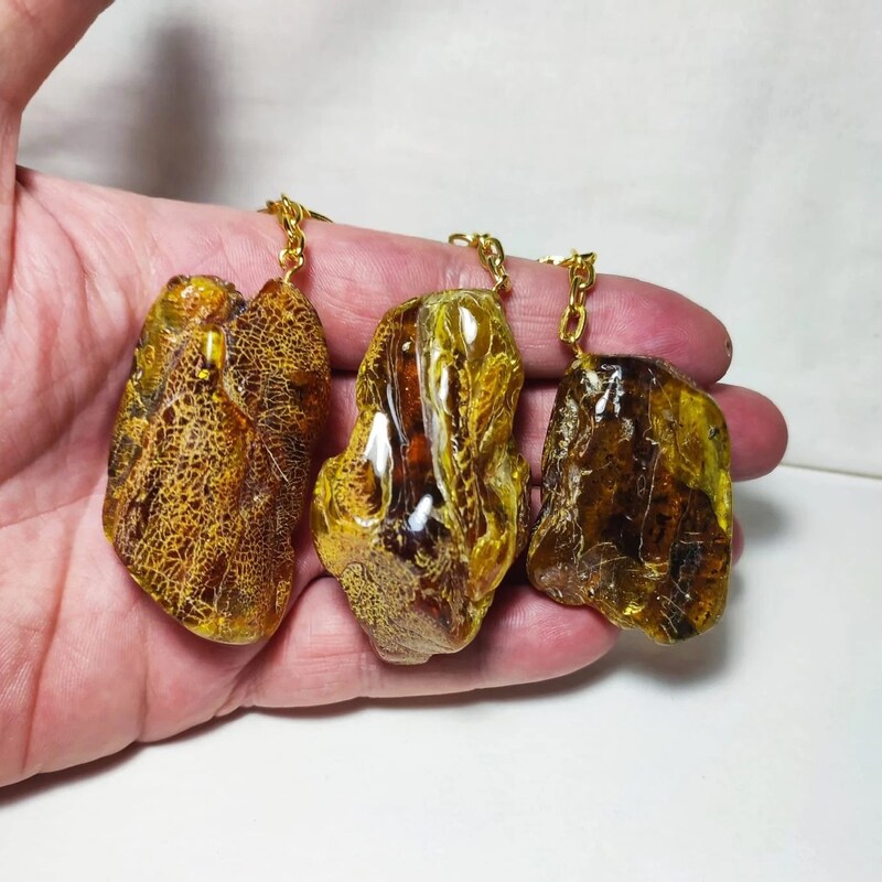 Amber Stone With Insect - Etsy