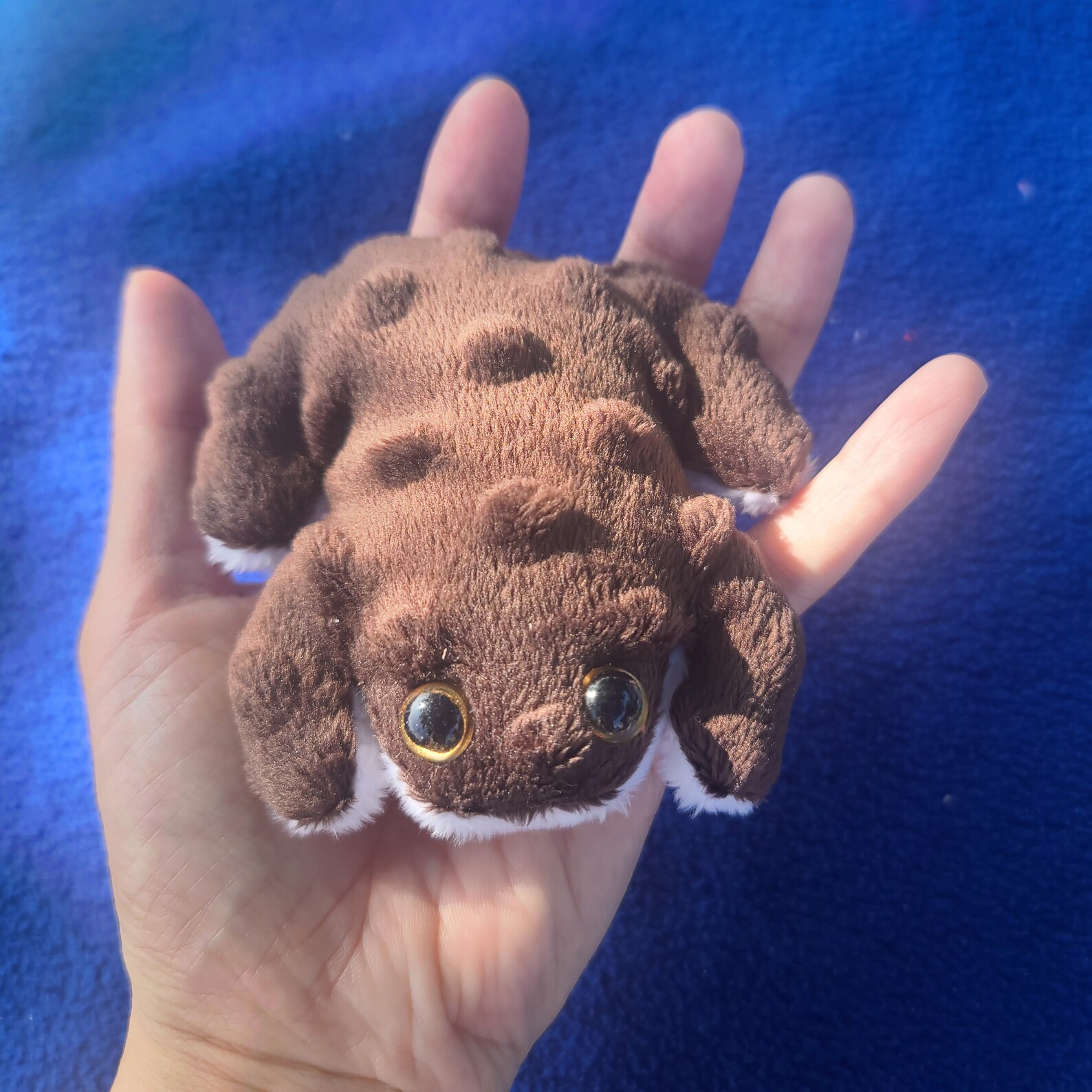 Pocket Frog Plush Sensory Plush Stress Relief and Anxiety Stim Plush - Etsy