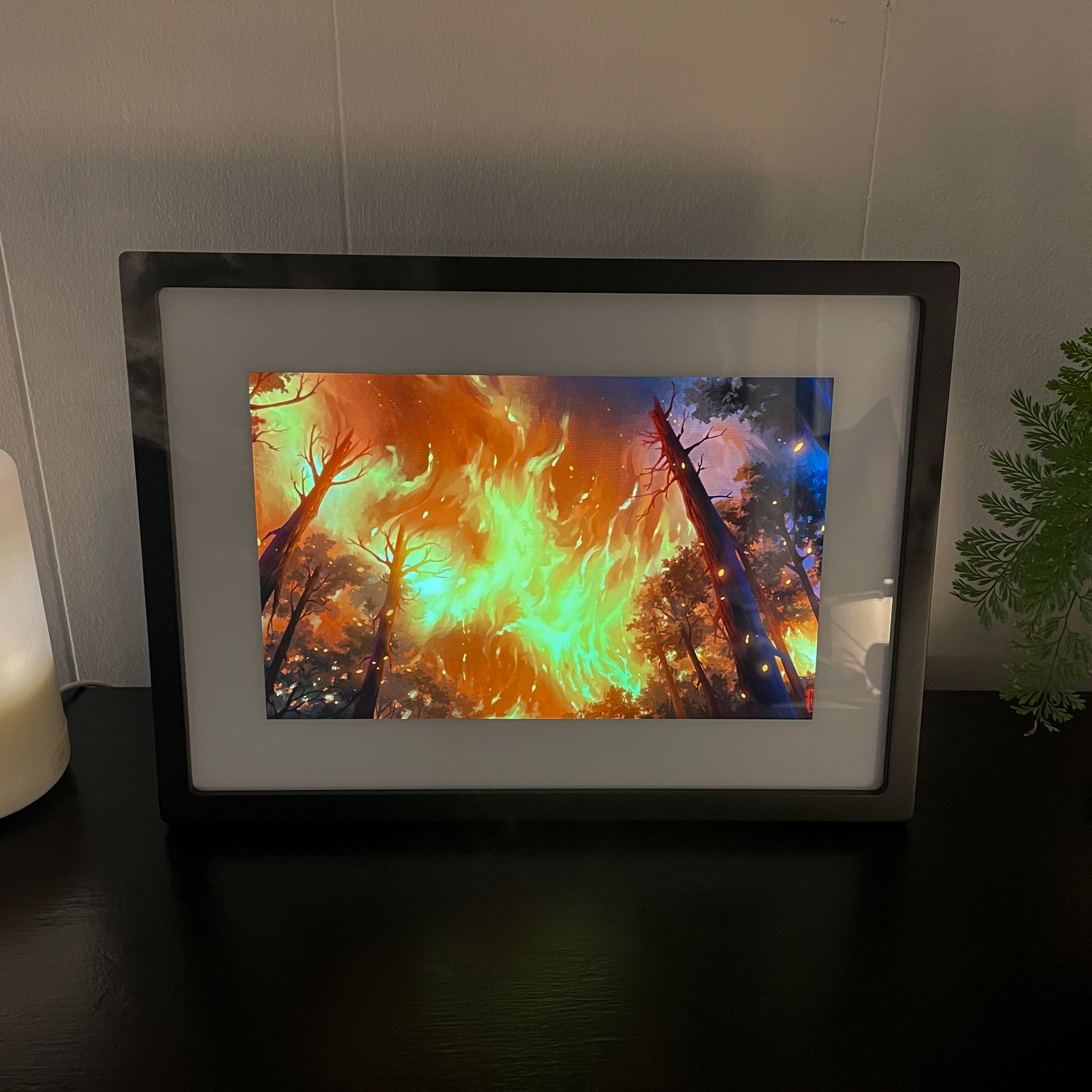 Forest Fire Digital Backgrounds - Etsy