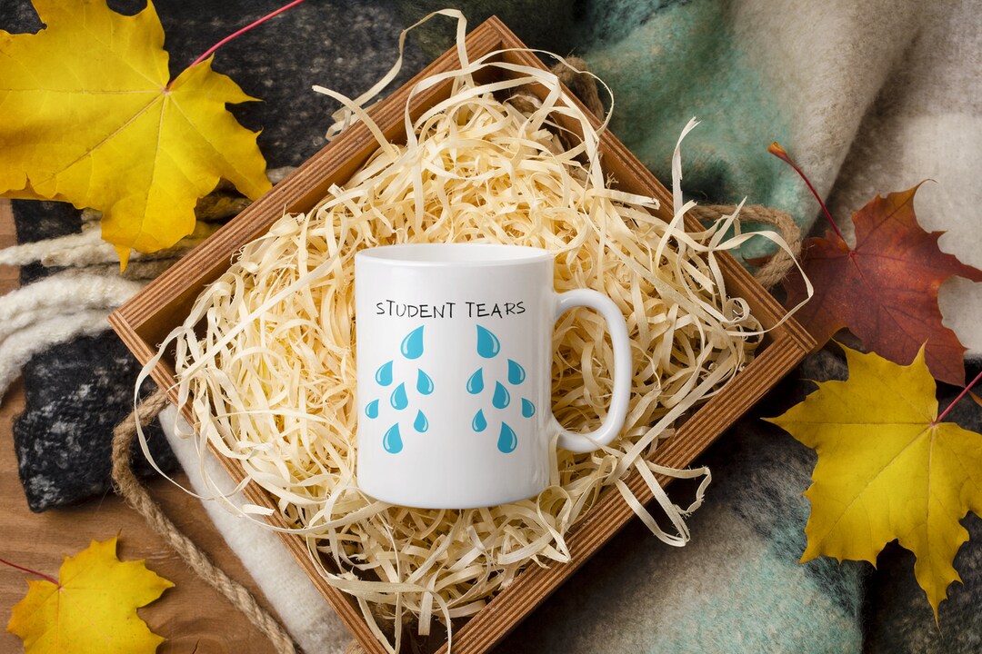 Student Tears Coffee Mug, Gifts for Teachers, Teacher Coffee Mugs ...