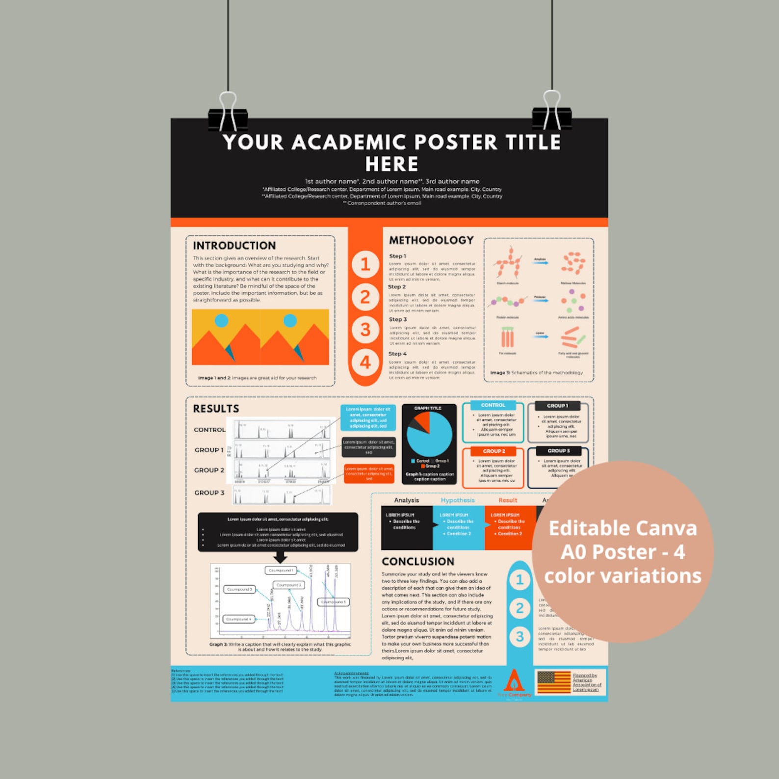 A0 Academic Scientific Research Poster Canva Editable Template other ...