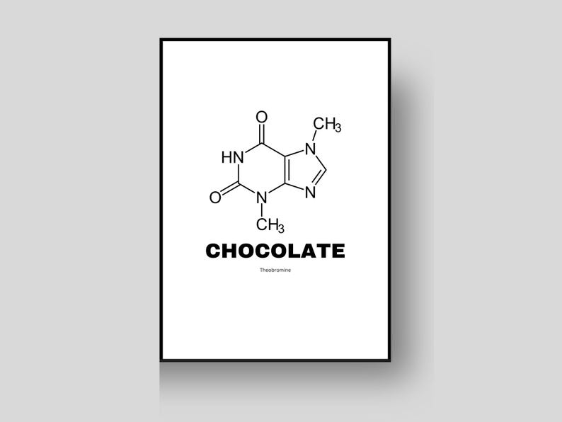 Food Wall Organic Chemistry Molecules Print - Etsy