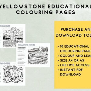 Yellowstone National Park Educational Travel Colouring Pages for Kids ...
