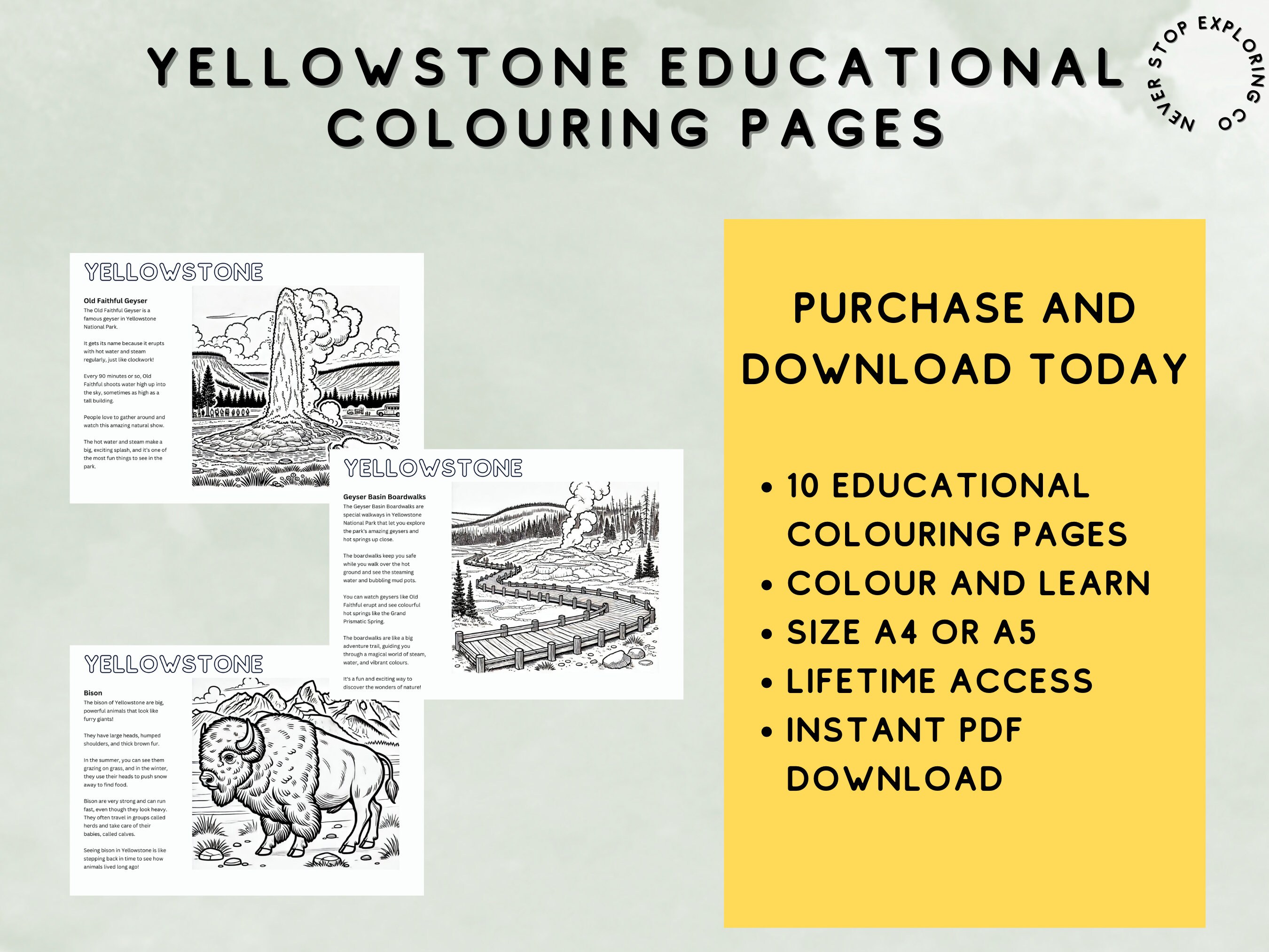 Yellowstone National Park Educational Travel Colouring Pages for Kids ...