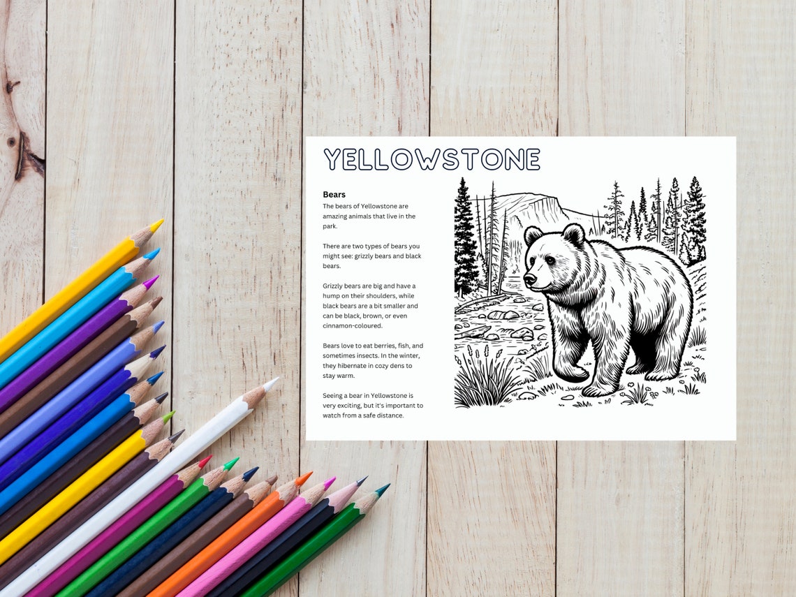 Yellowstone National Park Educational Travel Colouring Pages for Kids ...