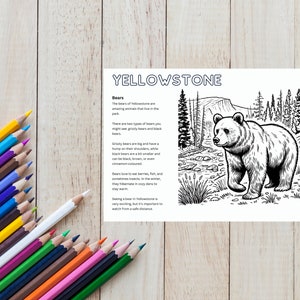 Yellowstone National Park Educational Travel Colouring Pages for Kids ...