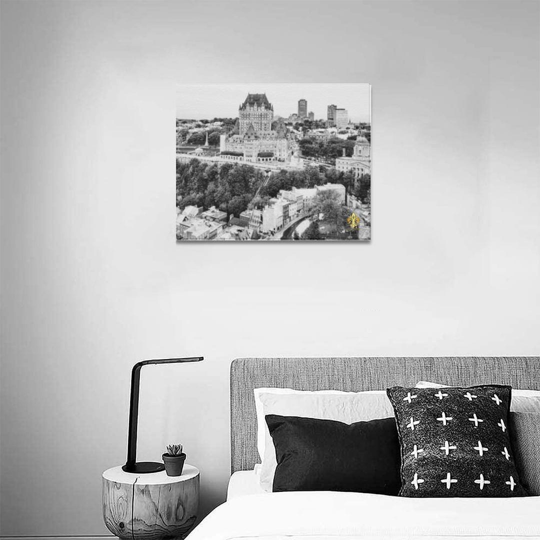 Tableau Mural En Toile Noir Et Blanc 20x16 Vue Aérienne Du Château ...