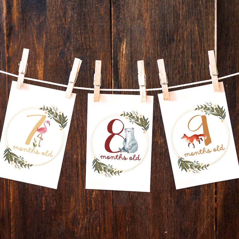 1-12 Months Printable Canva Template Monthly Milestone Cards Baby ...