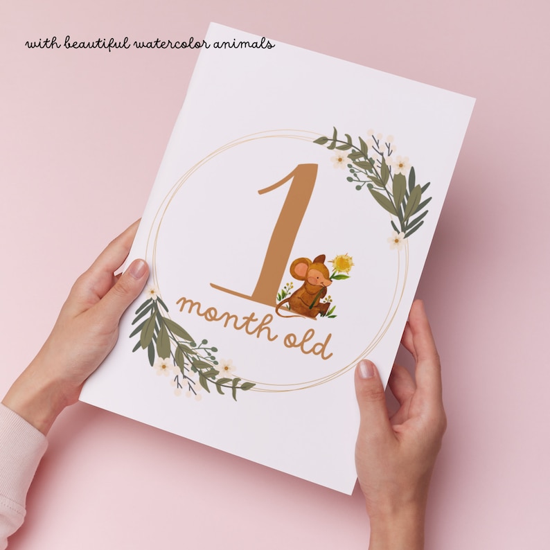 1-12 Months Printable Canva Template Monthly Milestone Cards Baby ...