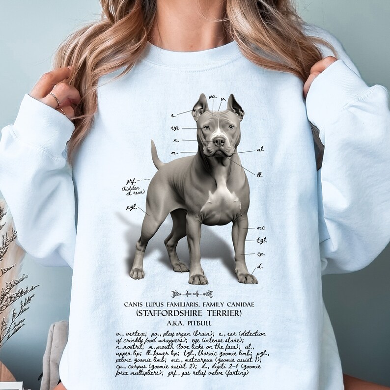 Pitbull Sweatshirt With Anatomy Callouts - Etsy
