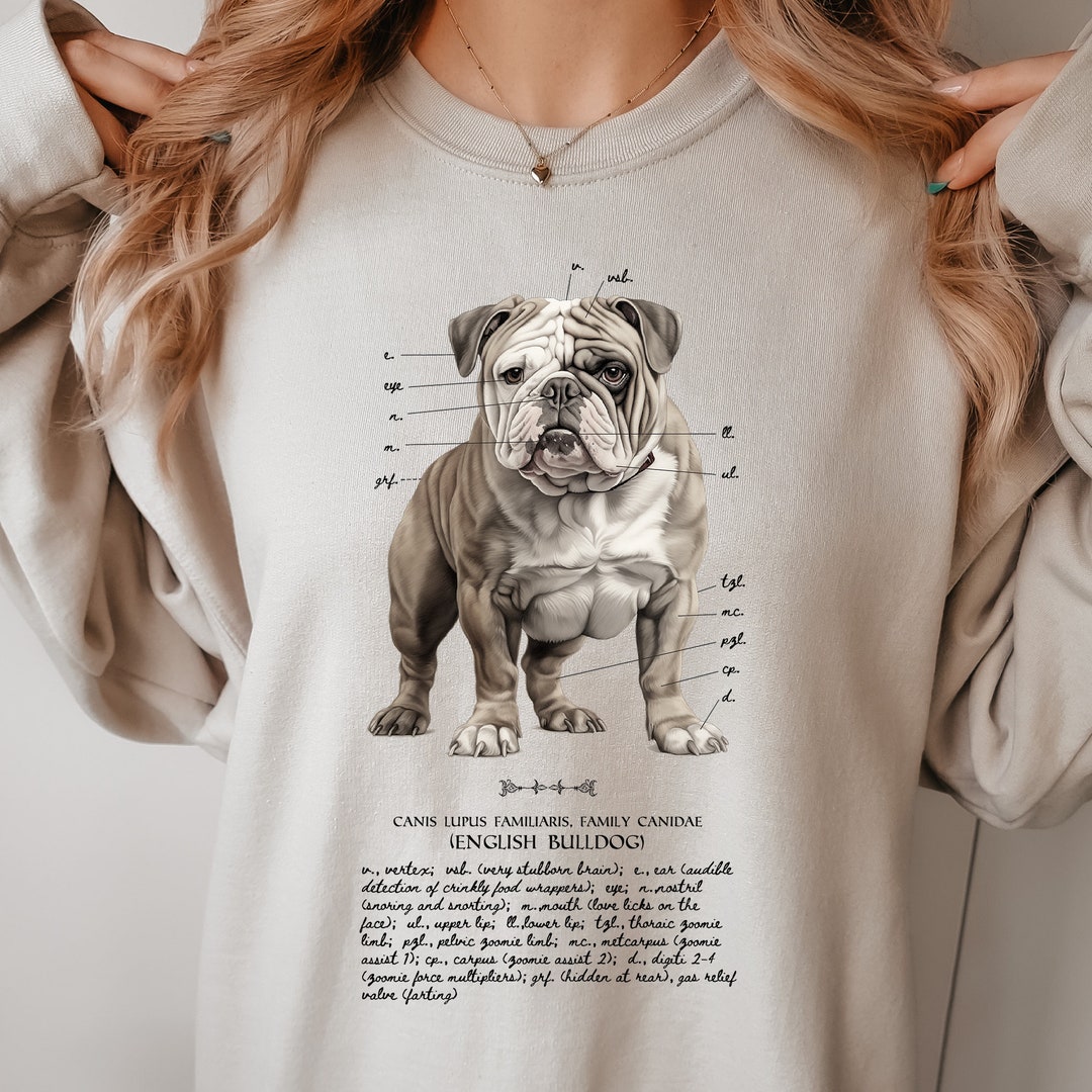 English Bulldog Sweatshirt With Anatomy Callouts - Etsy