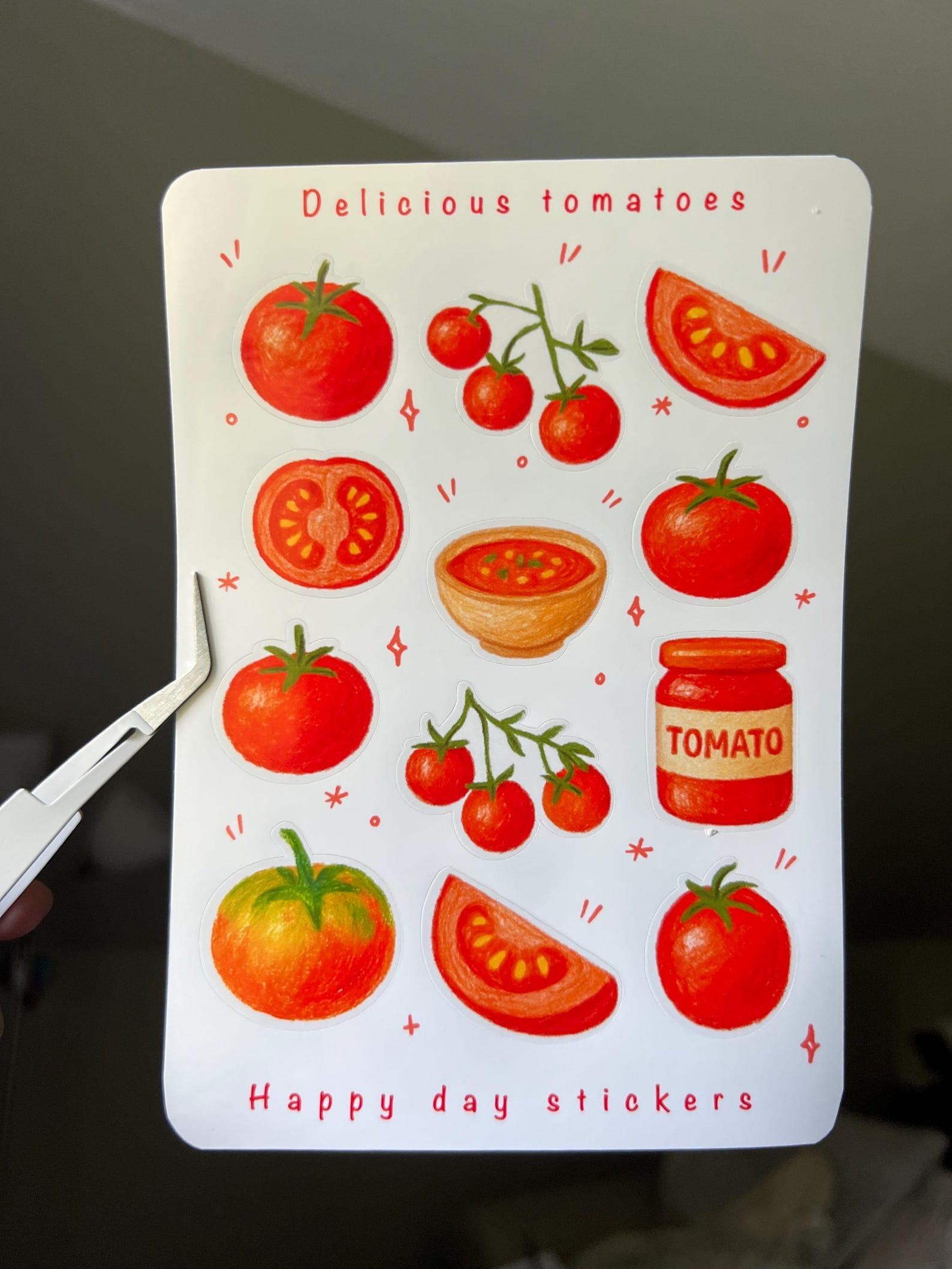 Tomatoes: Waterproof Hand Drawn Stickers/decals for Decoration ...