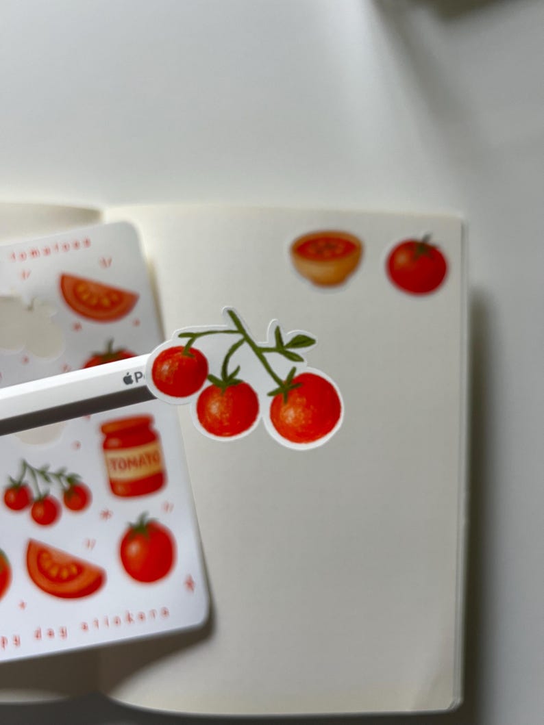 Tomatoes: Waterproof Hand Drawn Stickers/decals for Decoration ...