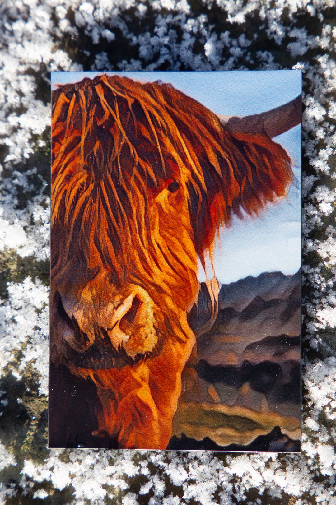Highland Cow Fridge Magnet - Etsy