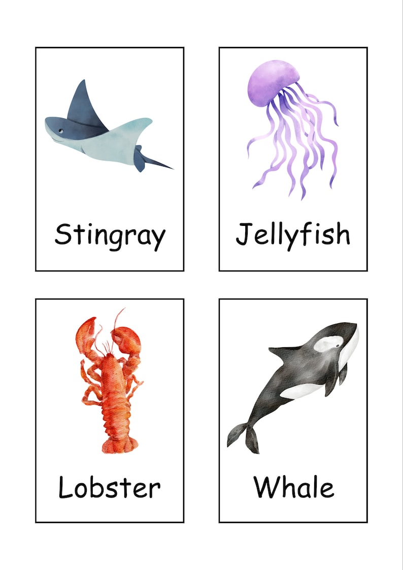 Sea Creatures Flash Cards Early Years Flash Cards - Etsy