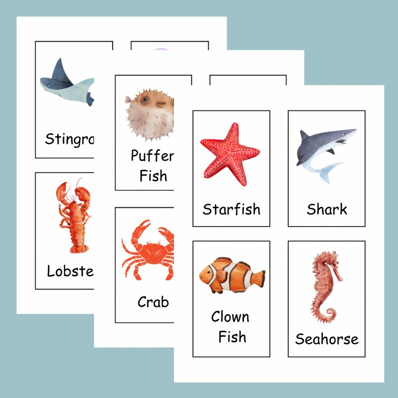 Sea Creatures Flash Cards - Early Years Flash Cards - Etsy