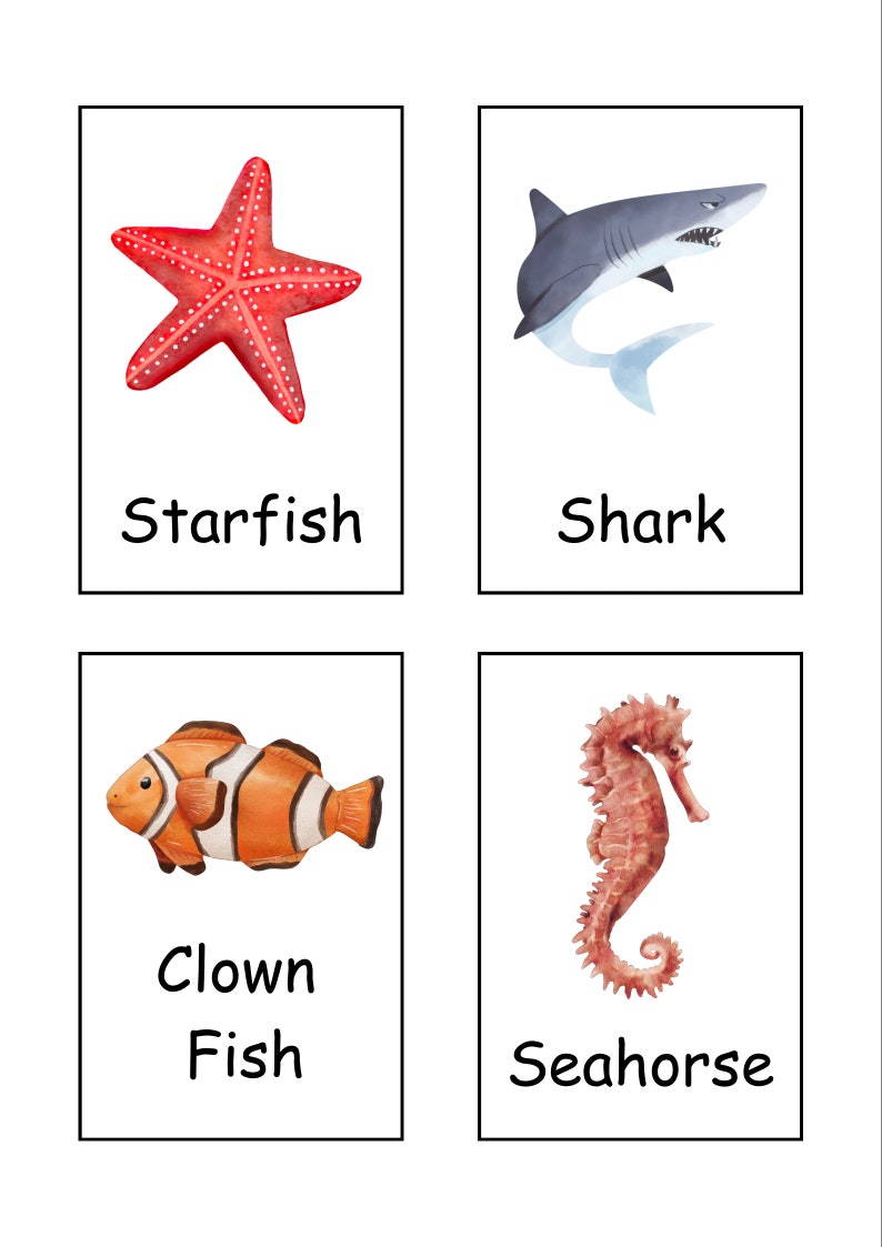 Sea Creatures Flash Cards Early Years Flash Cards - Etsy