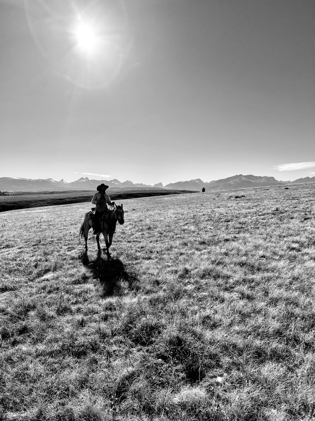 Lone Cowboy on the Range - Etsy