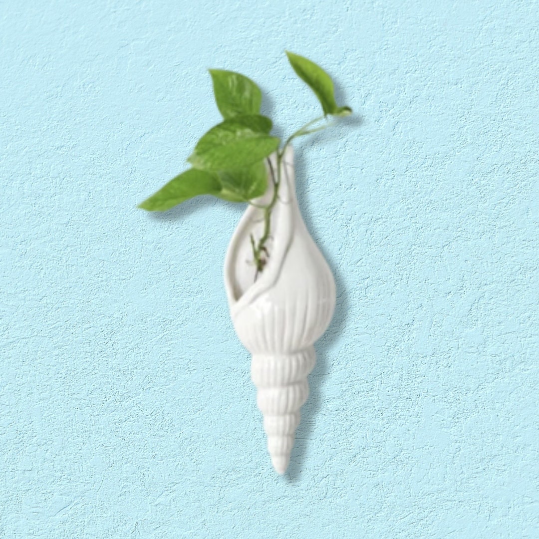 Wall Mounted Shell Vase, Unique Minimalist Wall Mount Seashell Planter ...