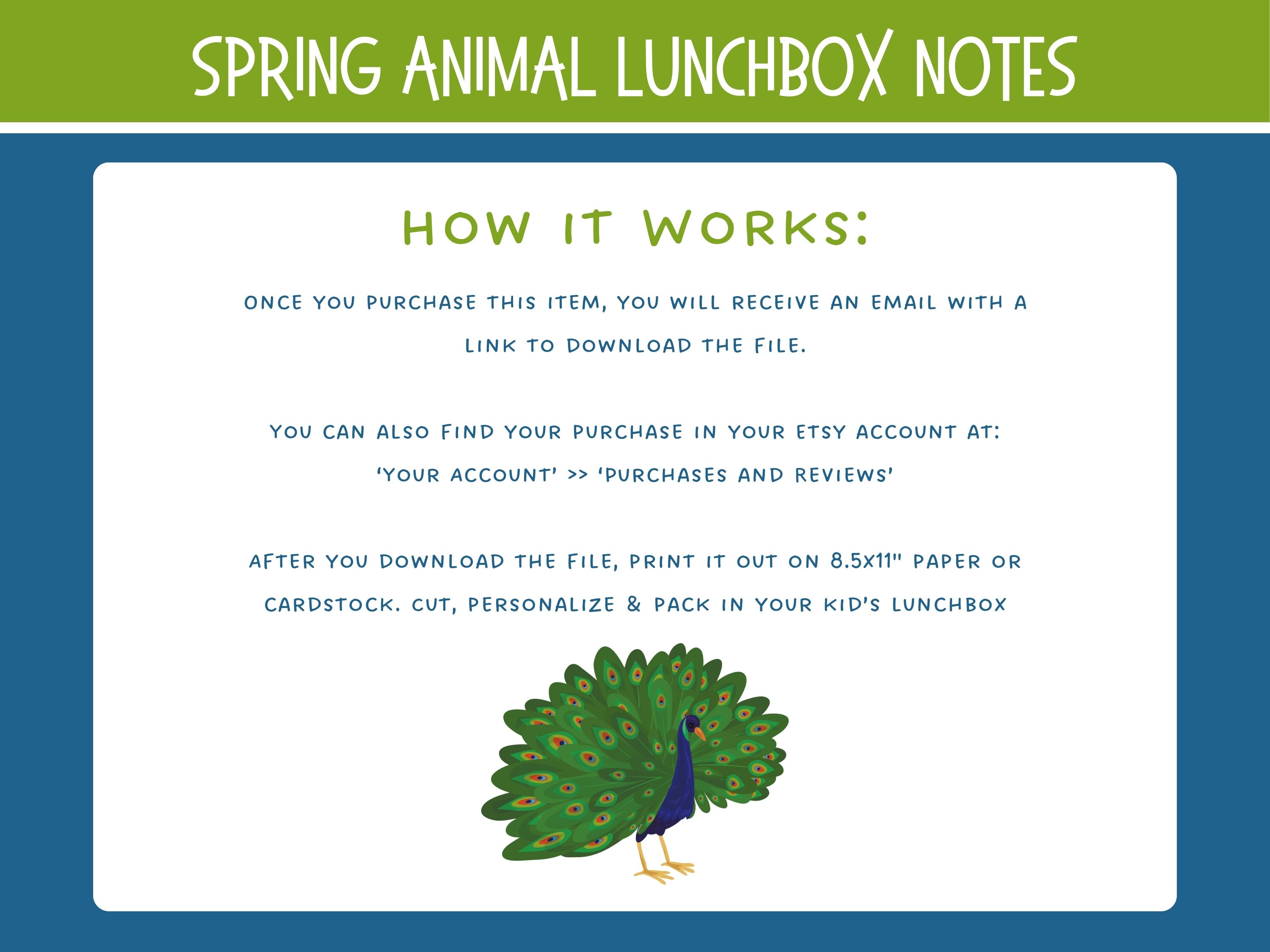 Spring Animal Lunchbox Notes for Kids, Brighten up Your Child's Lunch ...