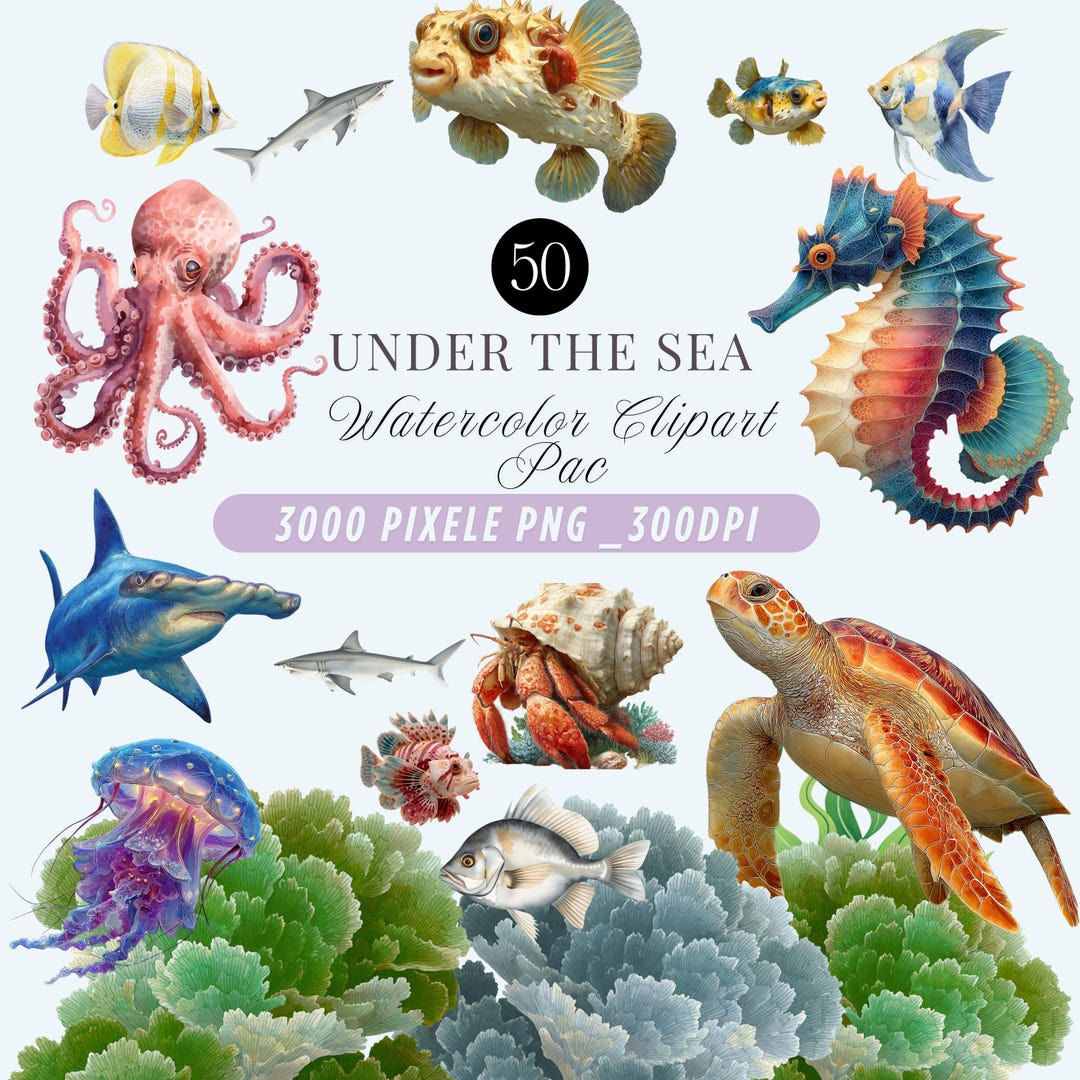 Marine Animals Clipart Bundle | Ocean Sea Life PNG | Watercolor Marine ...