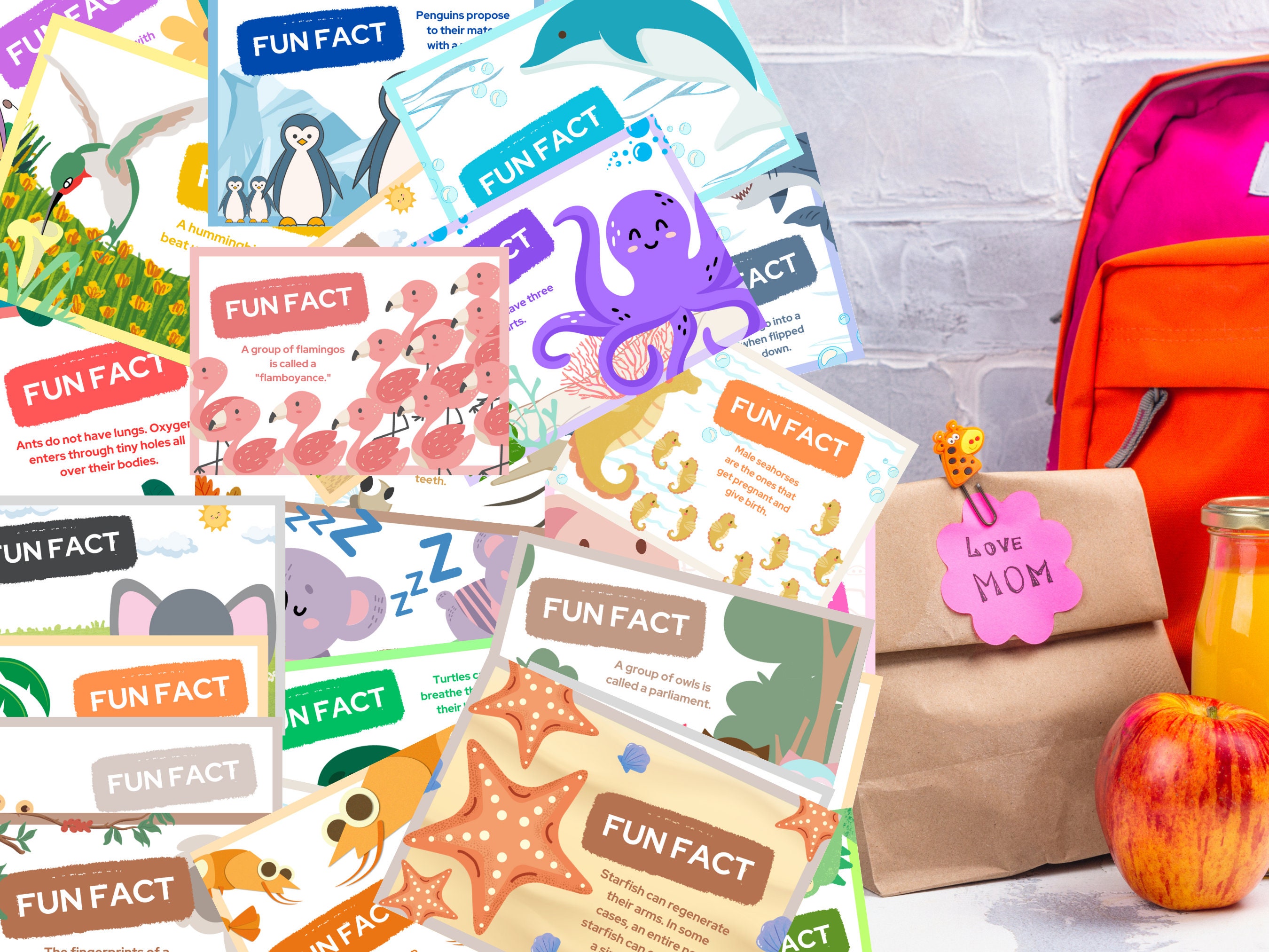 50 Lunch Box Cards - Fun Facts for Your Child to Enjoy - Digital ...