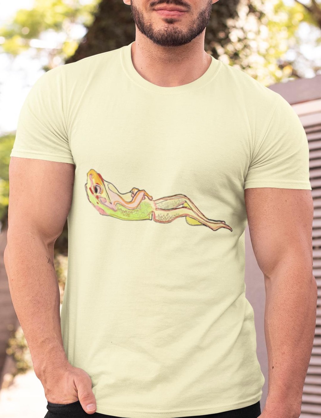 Frog and Toad Lover's Paradise: Amphibian Art, and Anuran-inspired ...