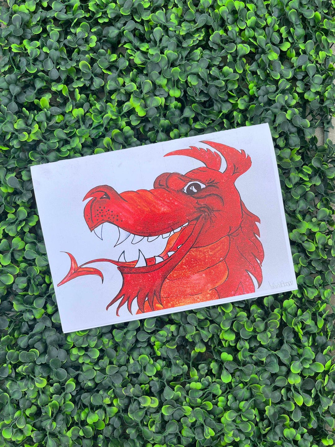 A5 Griffith Ap Dragon Greeting Cards Welsh Red Dragon Birthday Cards ...