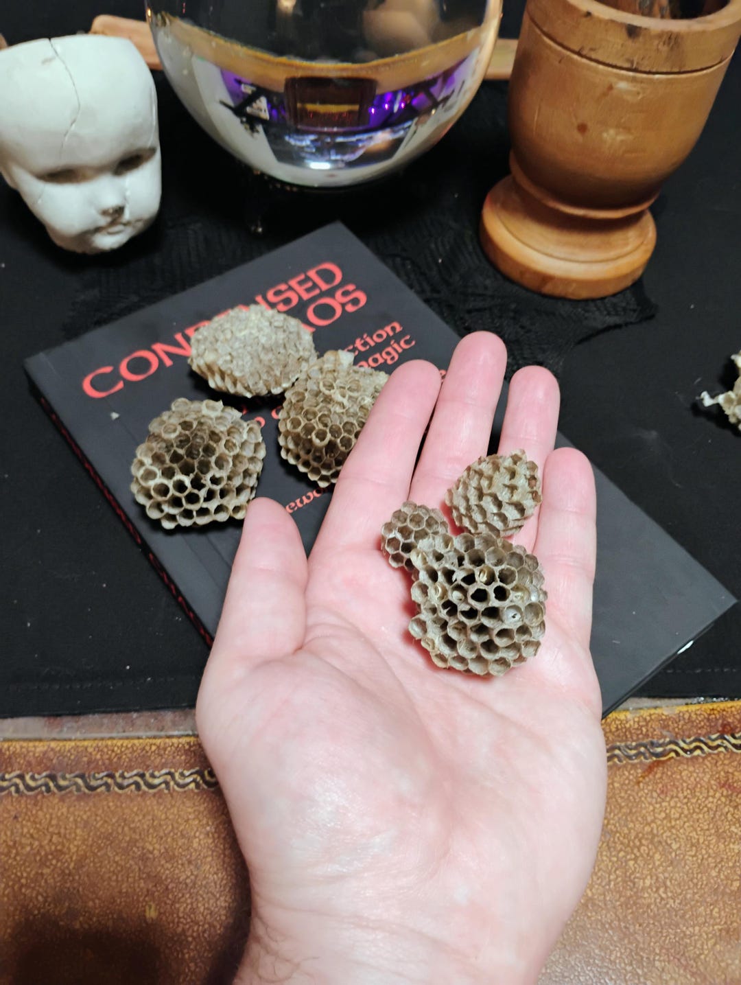 3 Small Yellow Jacket Nests - Etsy