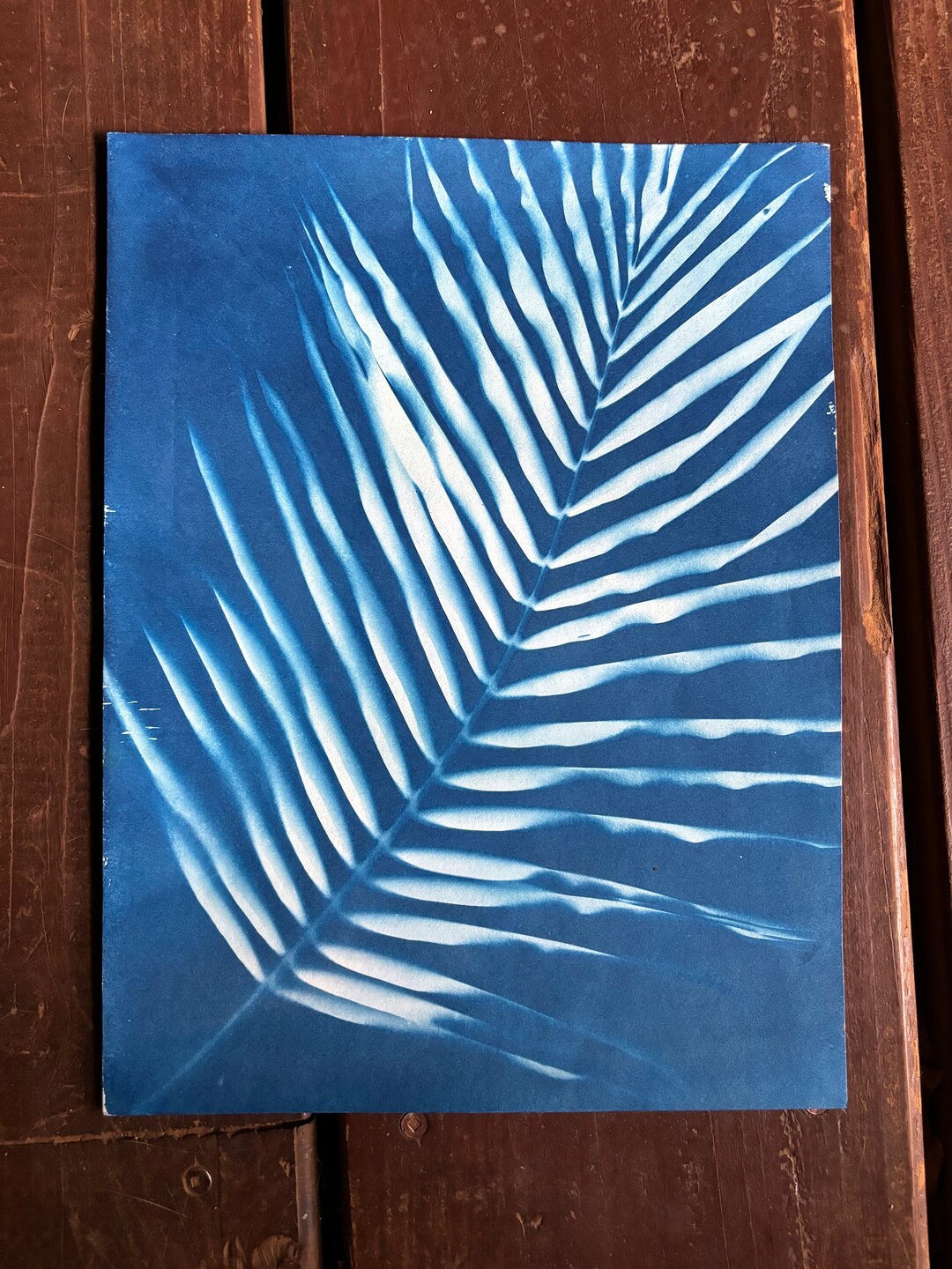 Palm Leaf Cyanotype Print - Etsy