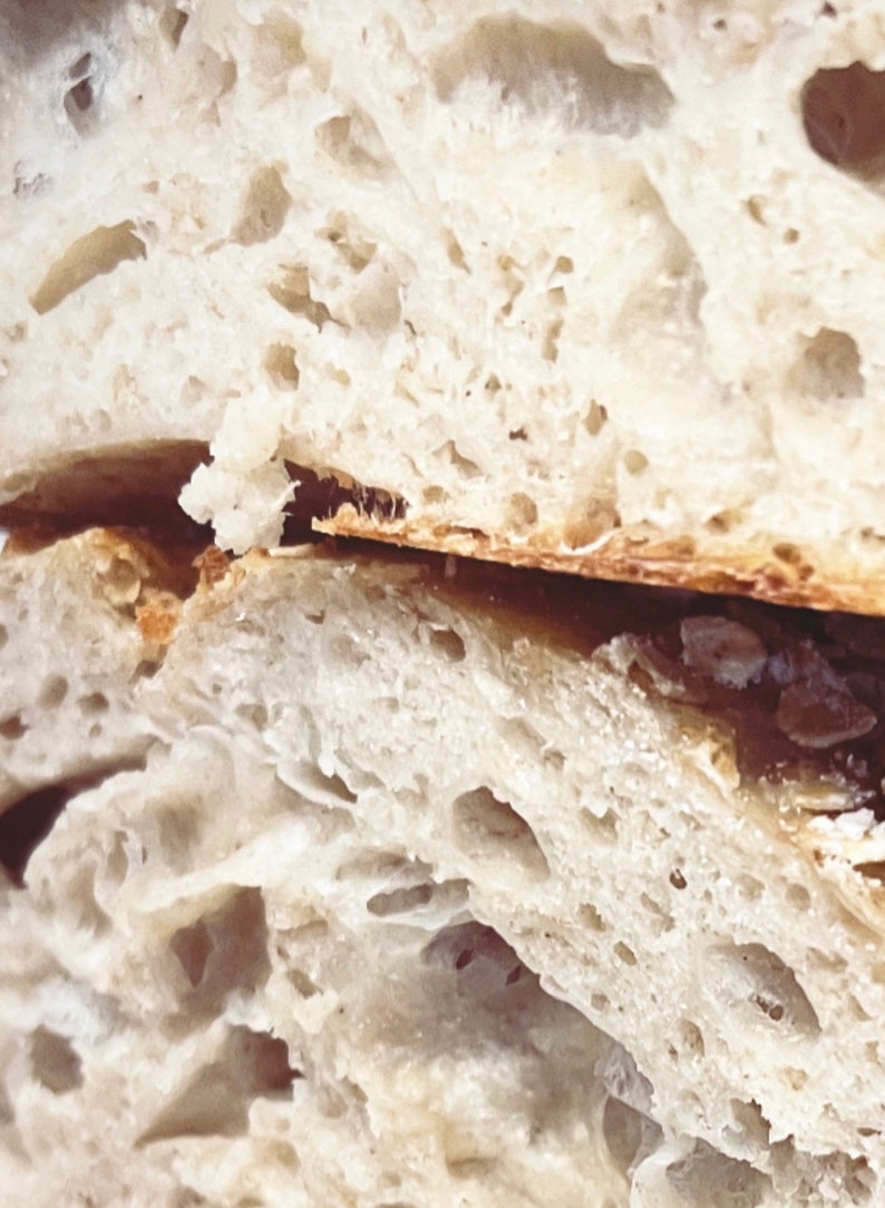 Dehydrated Sourdough Starter for Bread Endless Baking Needs, Homestead ...