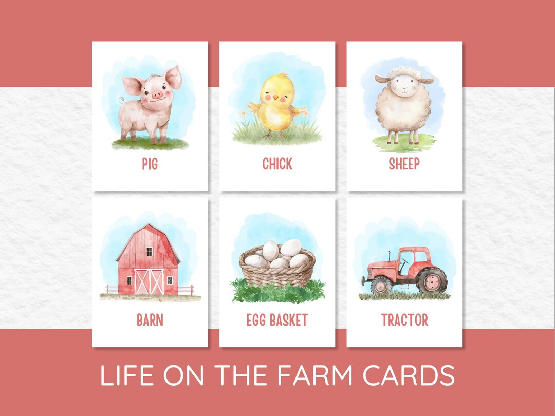 Farm Animals Flash Cards, Montessori Learning, Preschool Education - Etsy