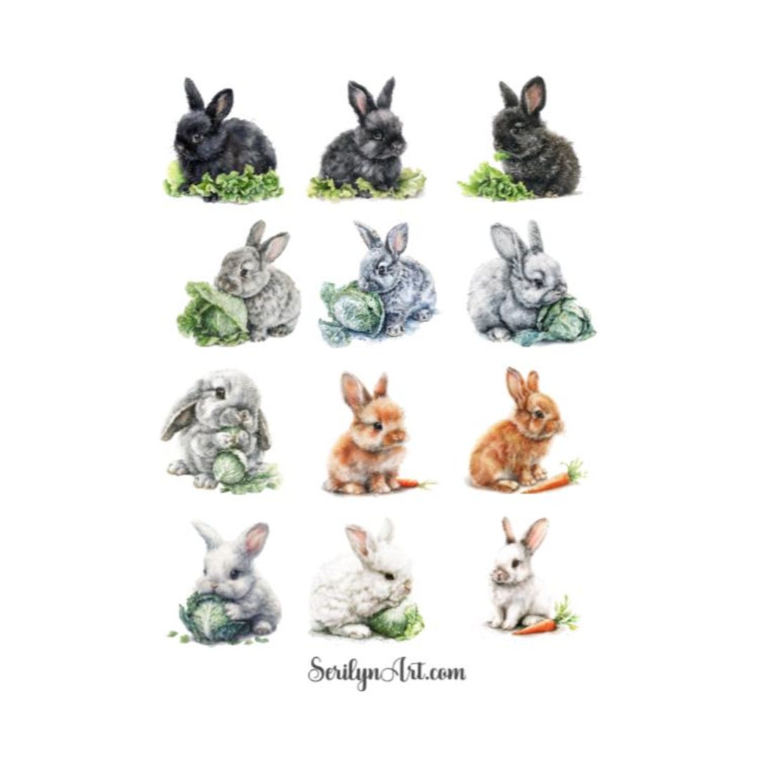 Sticker Sheet Cute Bunnies for Bullet Journaling, Planners ...