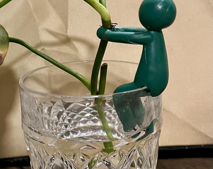 Plant Propagation Side Car | Plant Buddy | Test Tube Prop Station - Etsy