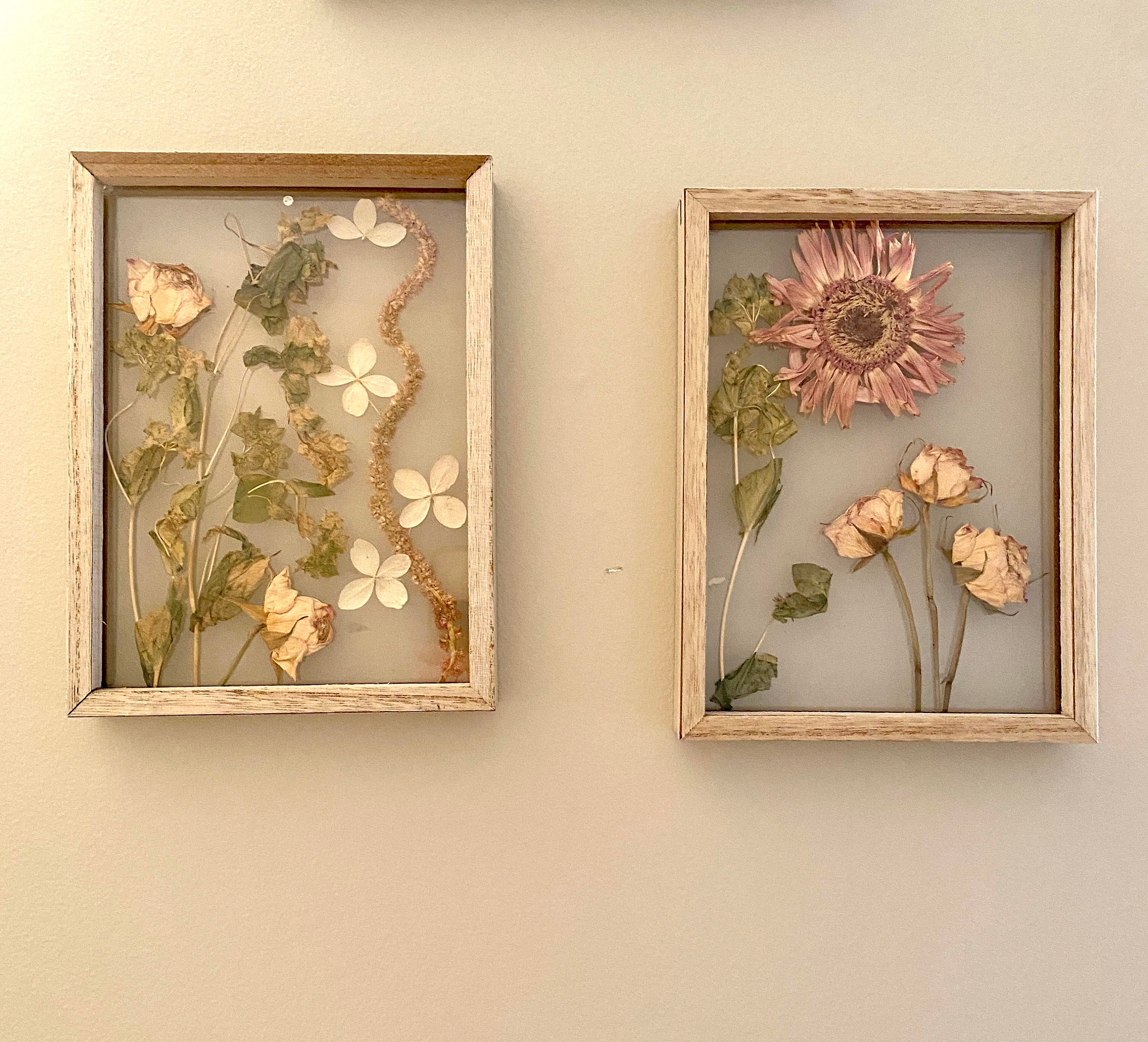 Simple Pressed Flowers - Etsy