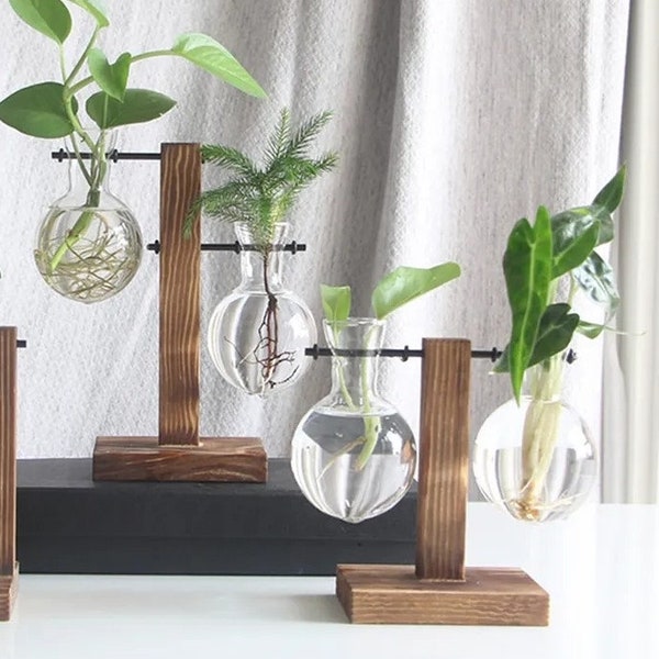 Propagation Vase - Etsy