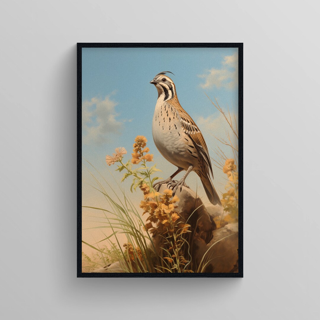 Printable Bird Art | California Quail Wall Art | Digital Download ...