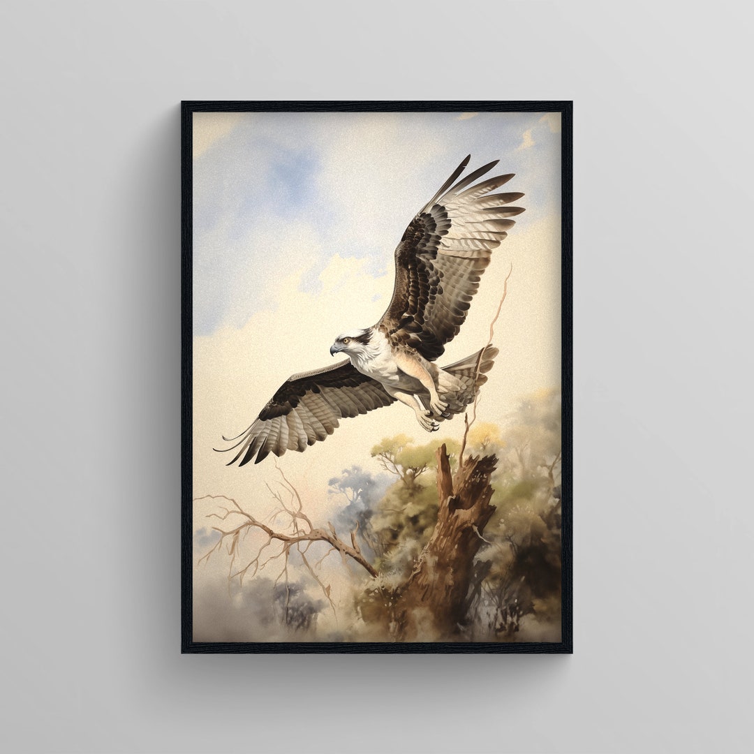 Printable Bird Art | Osprey Hawk Wall Art | Digital Download | Rustic ...