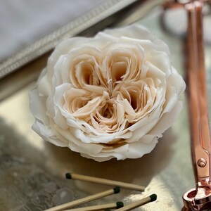 Candle Flower, White David Austin Rose - Etsy