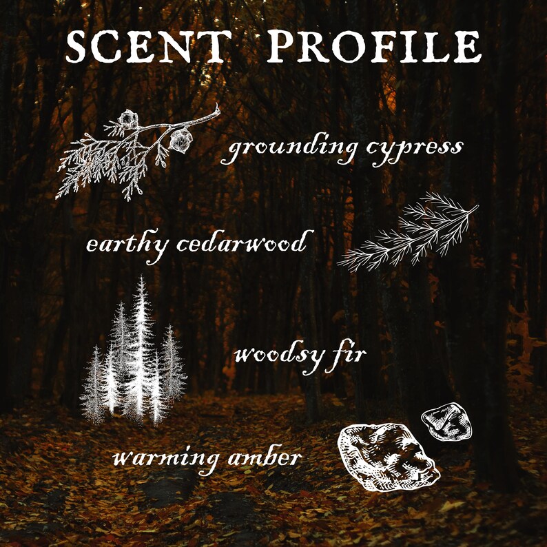 Sleepy Hollow Candle - Cypress, Cedar, Fir, Moss & Amber, 4oz Amber Jar ...